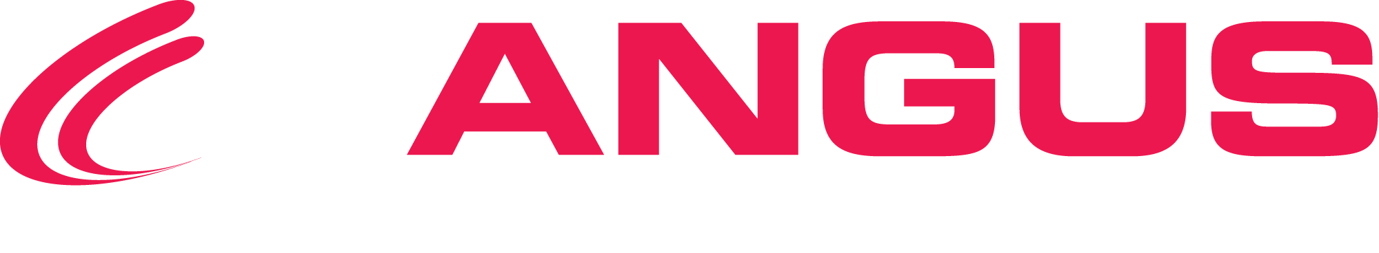 Angus International Safety Group
