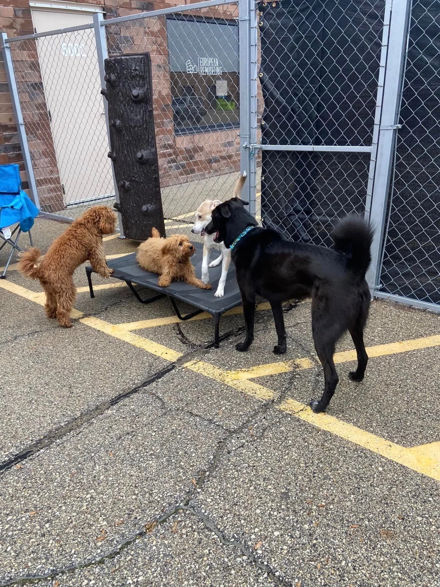 E & G's Tail Waggers