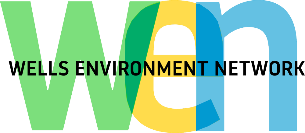 The Blue School — Wells Environmental Network
