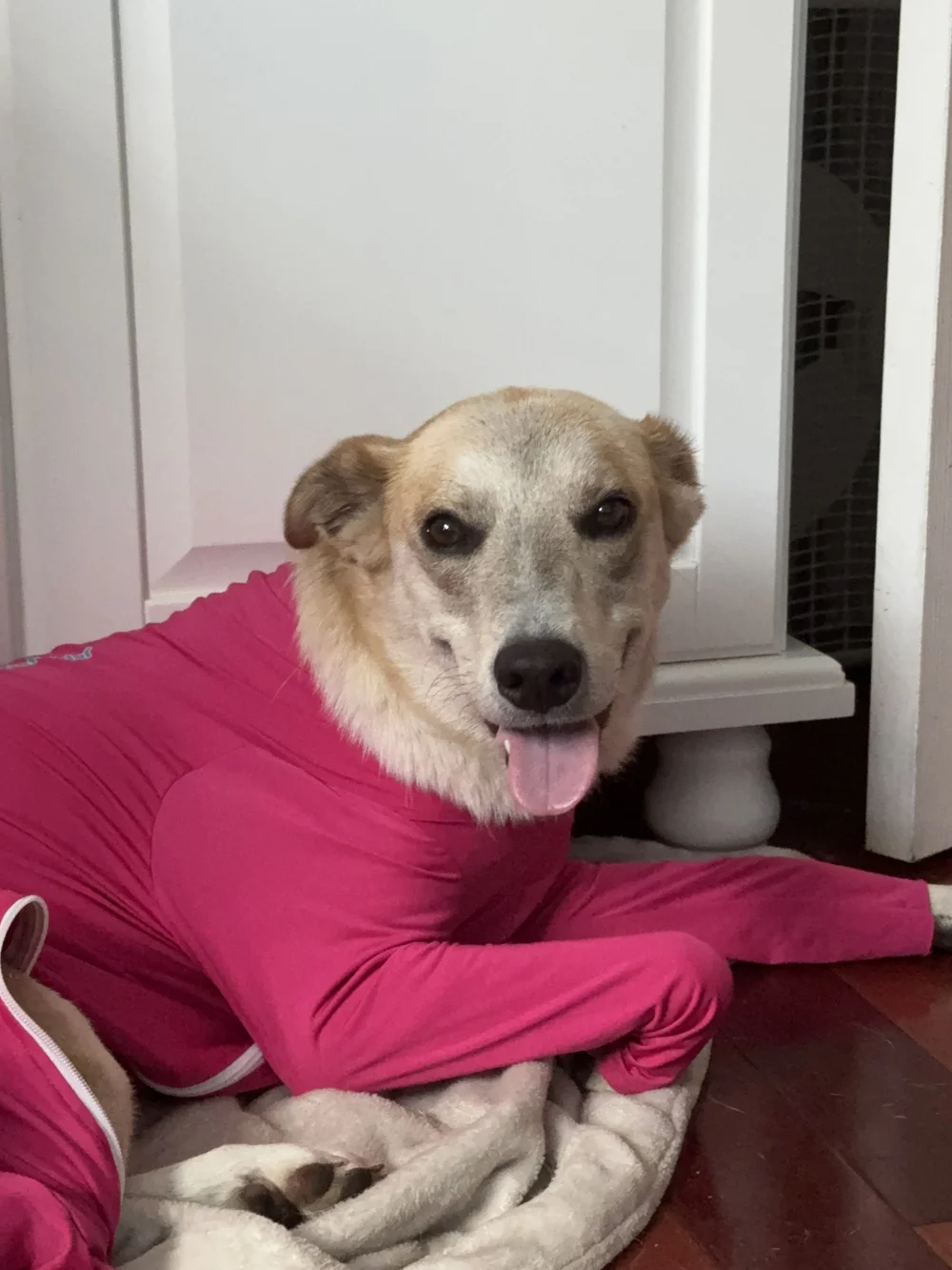 DONATE — Charlie's Corner