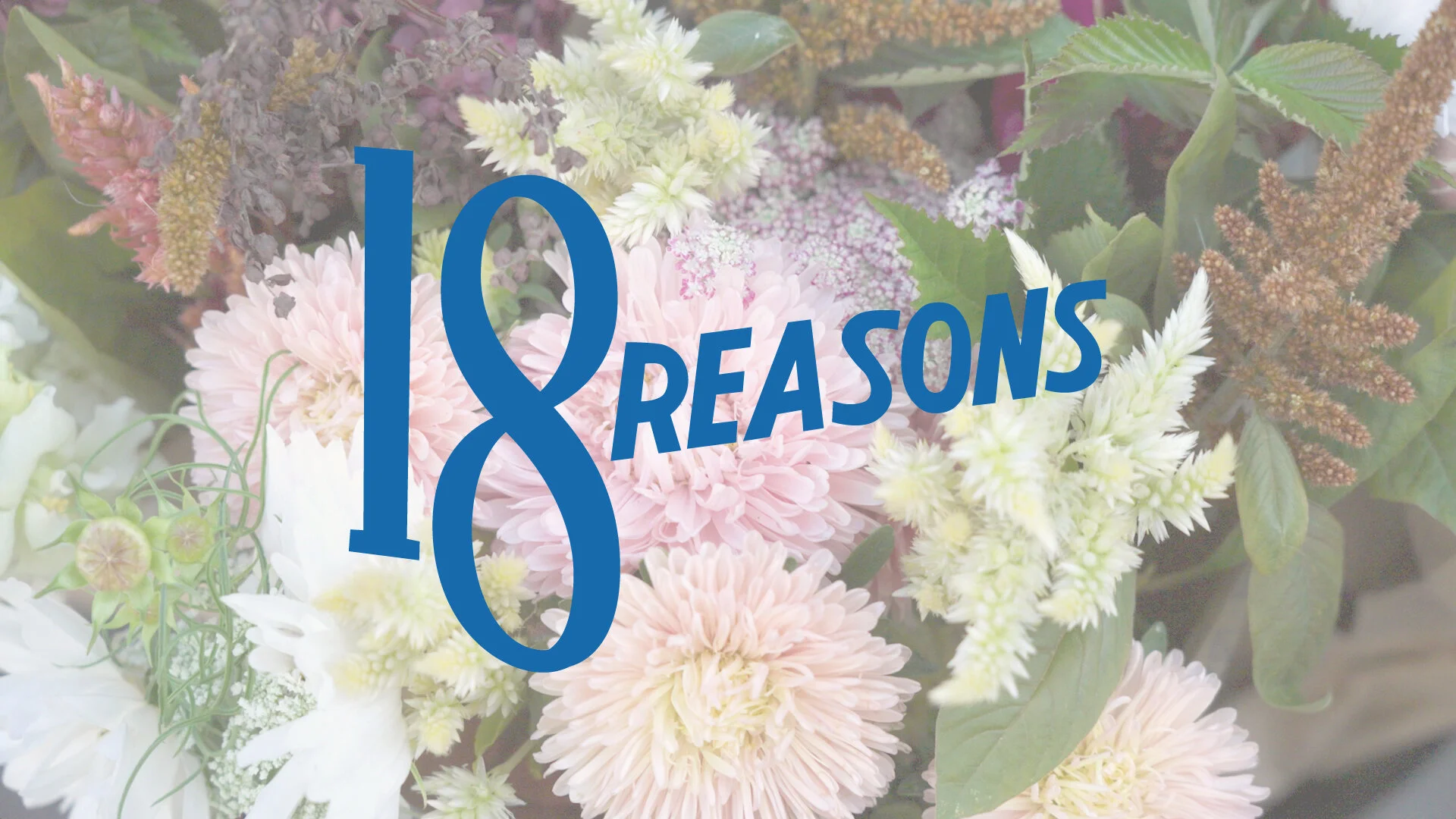 18 Reasons // — NEW CHAPTER