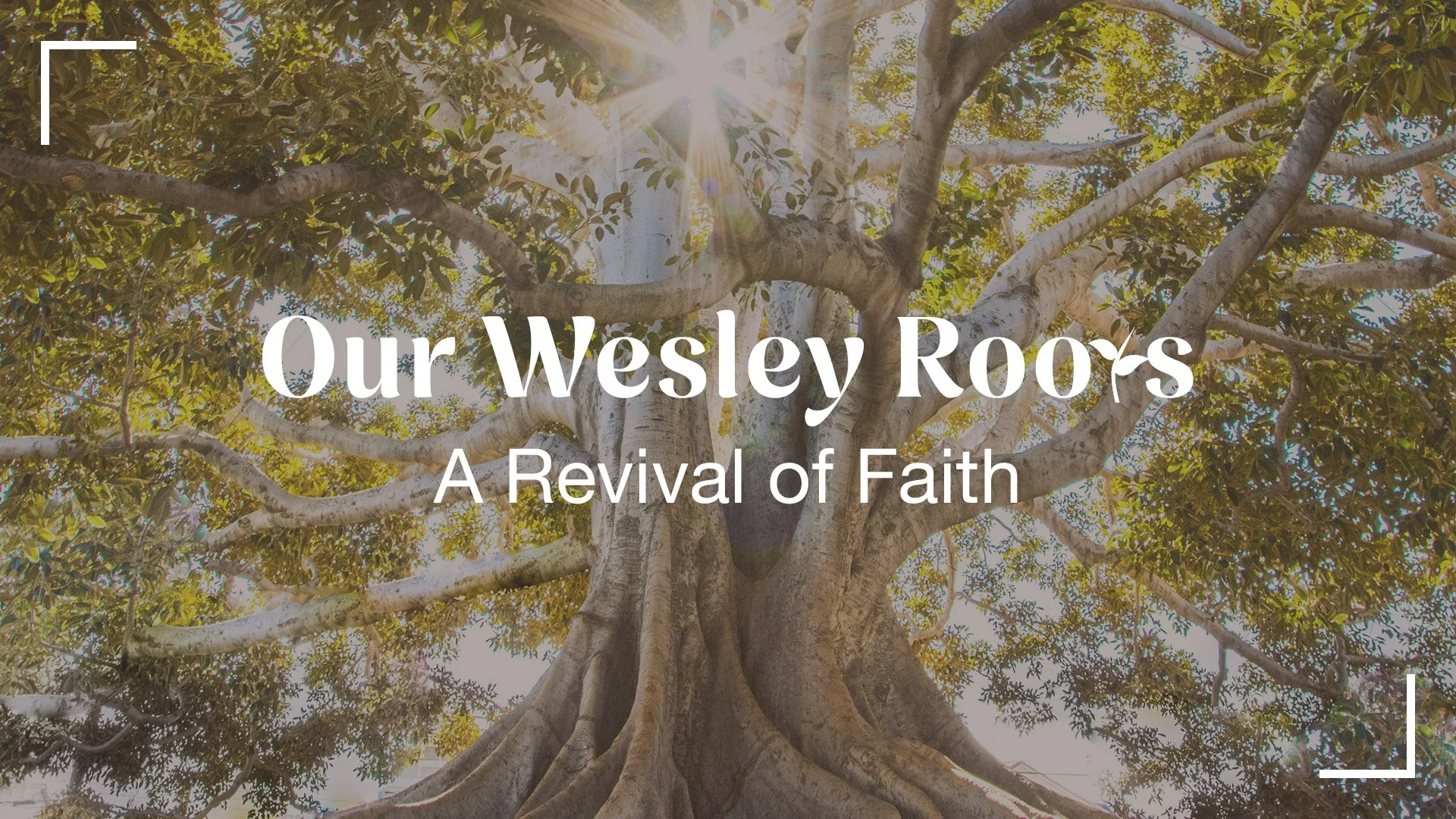 Our Wesley Roots — New Covenant United Methodist Church of The Villages
