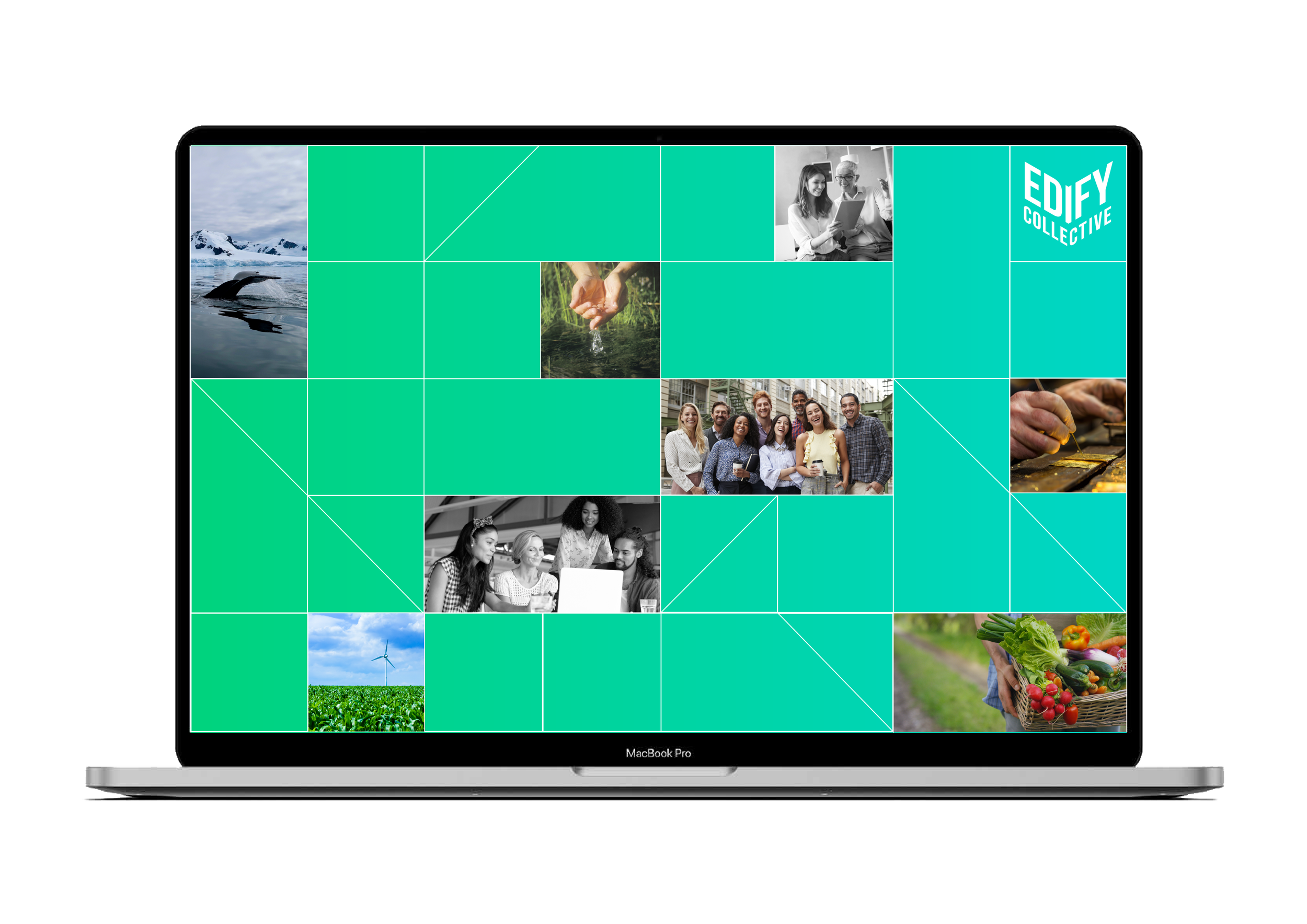 Edify Collective equips businesses with AI-powered functional micro ...