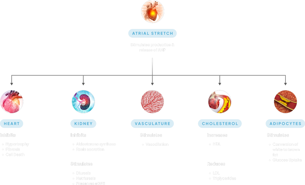 Our Science — E-Star Biotech