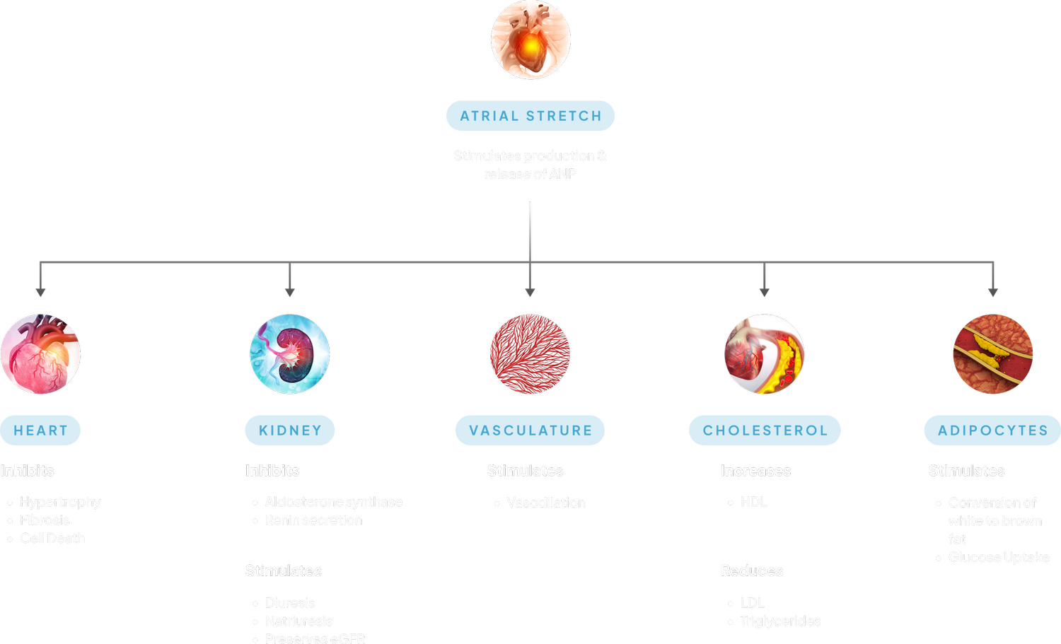 Our Science — E-Star Biotech