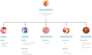 Our Science — E-Star Biotech