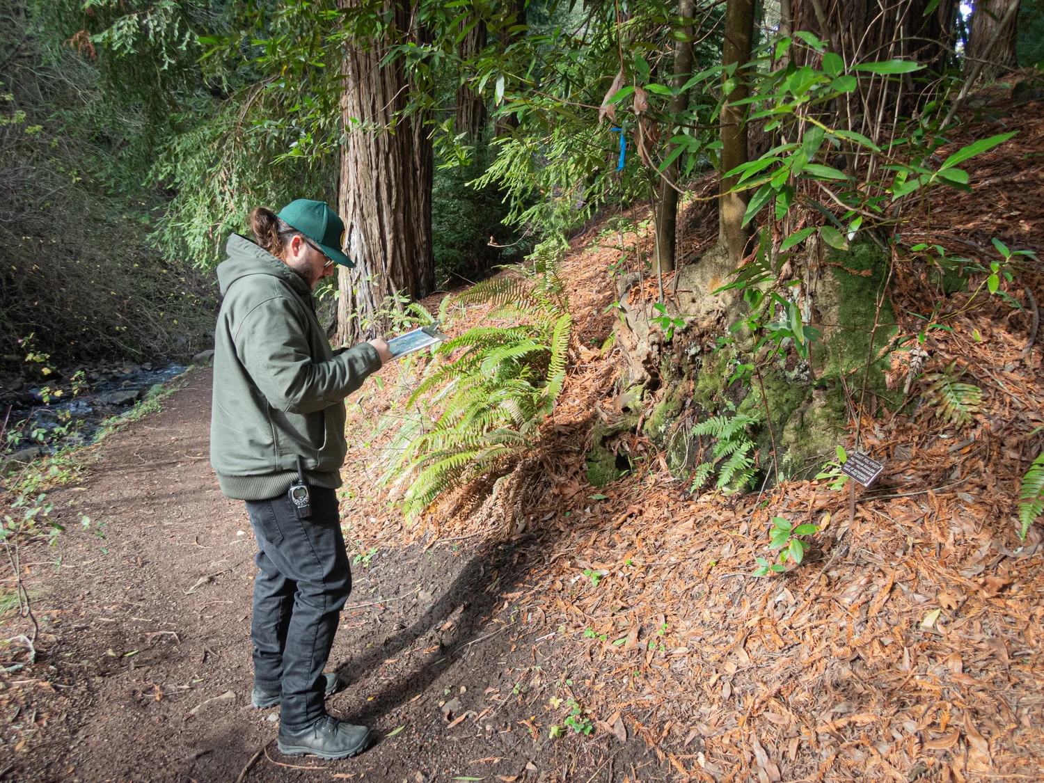 Contact Us — Friends of the Regional Parks Botanic Garden