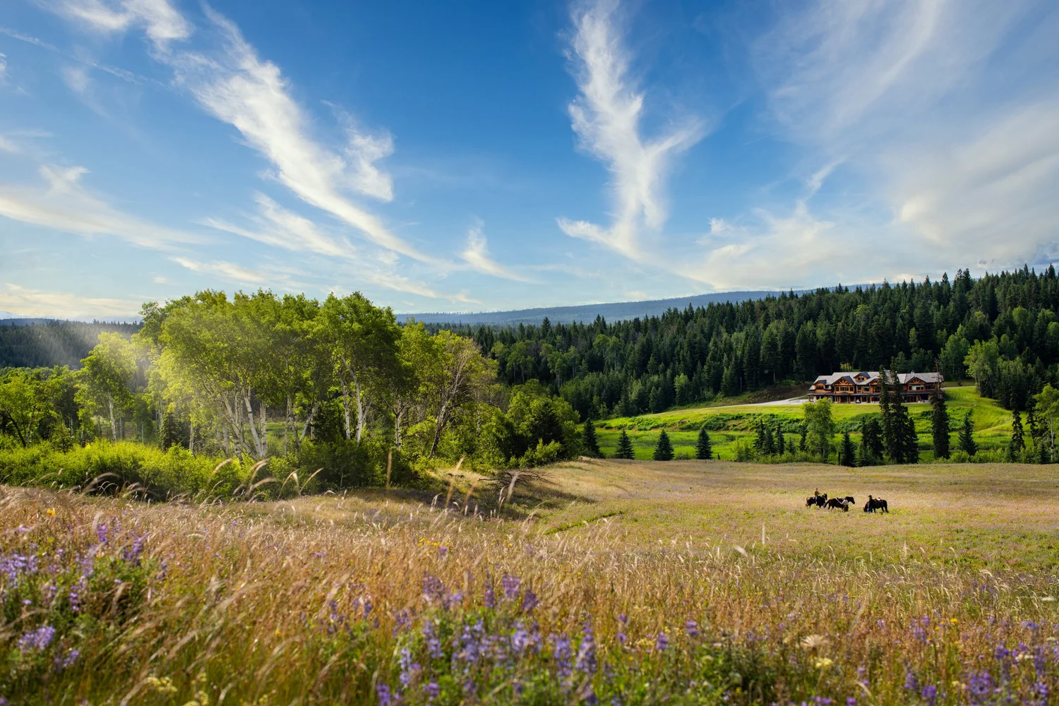 FOUR HEARTS RANCH