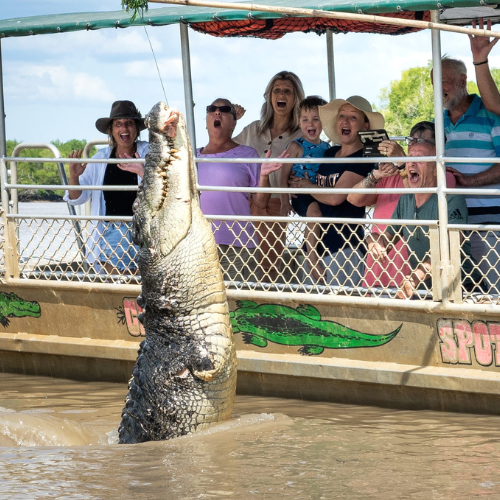 Croc Spot Tours