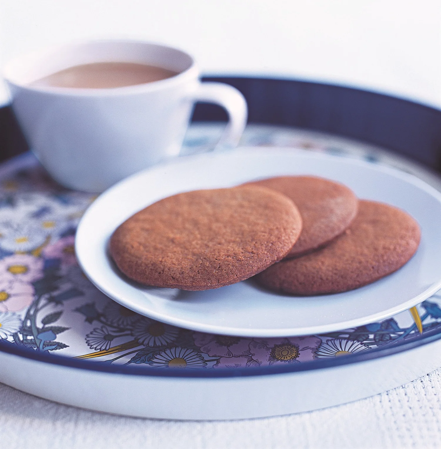 Gingerbread Biscuits — Fiona Cairns