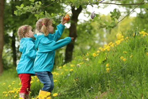 Ballyboughal | A Community Resource Website