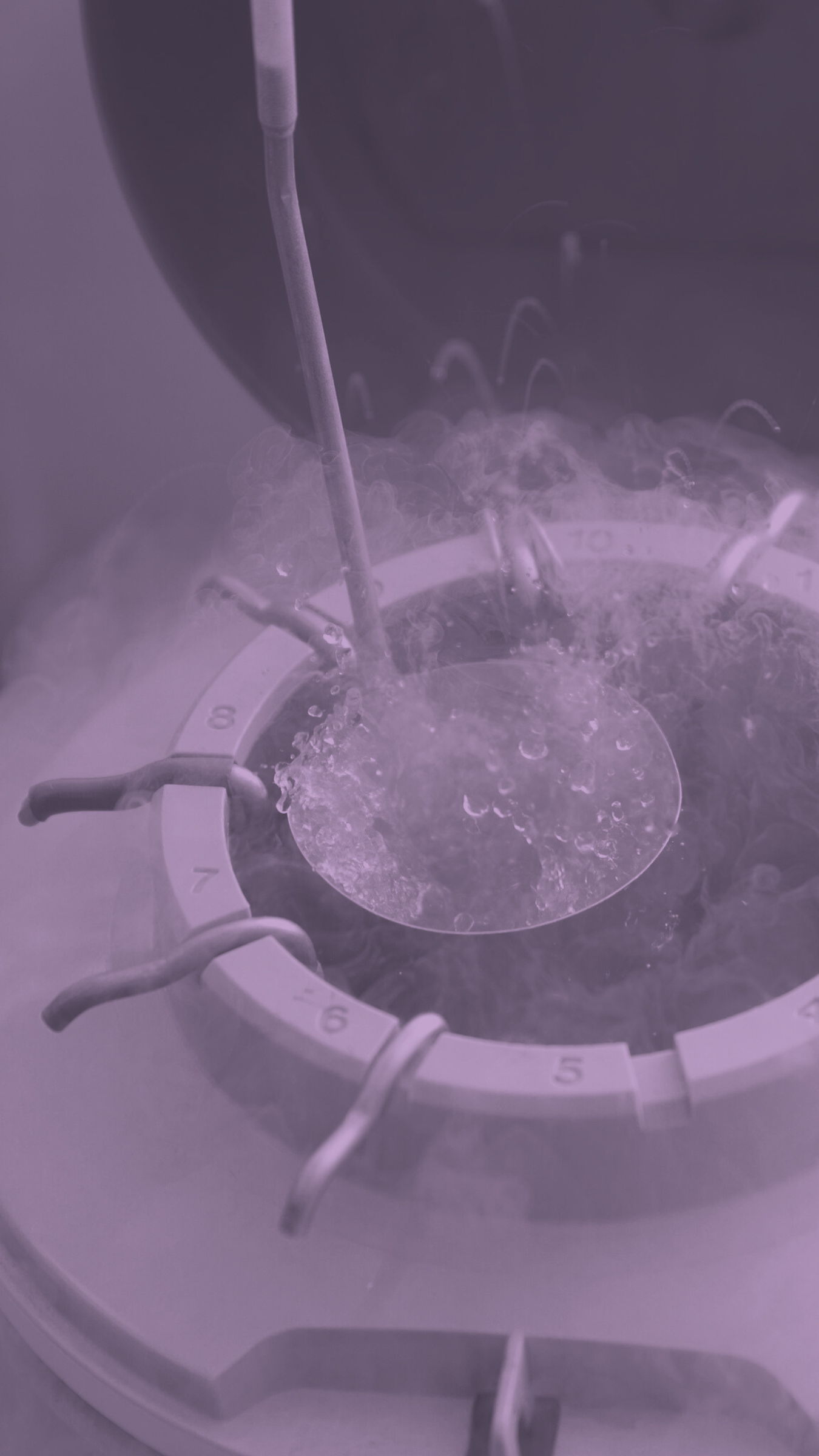 Embryology | Enhance Your IVF Success — Ovation Fertility