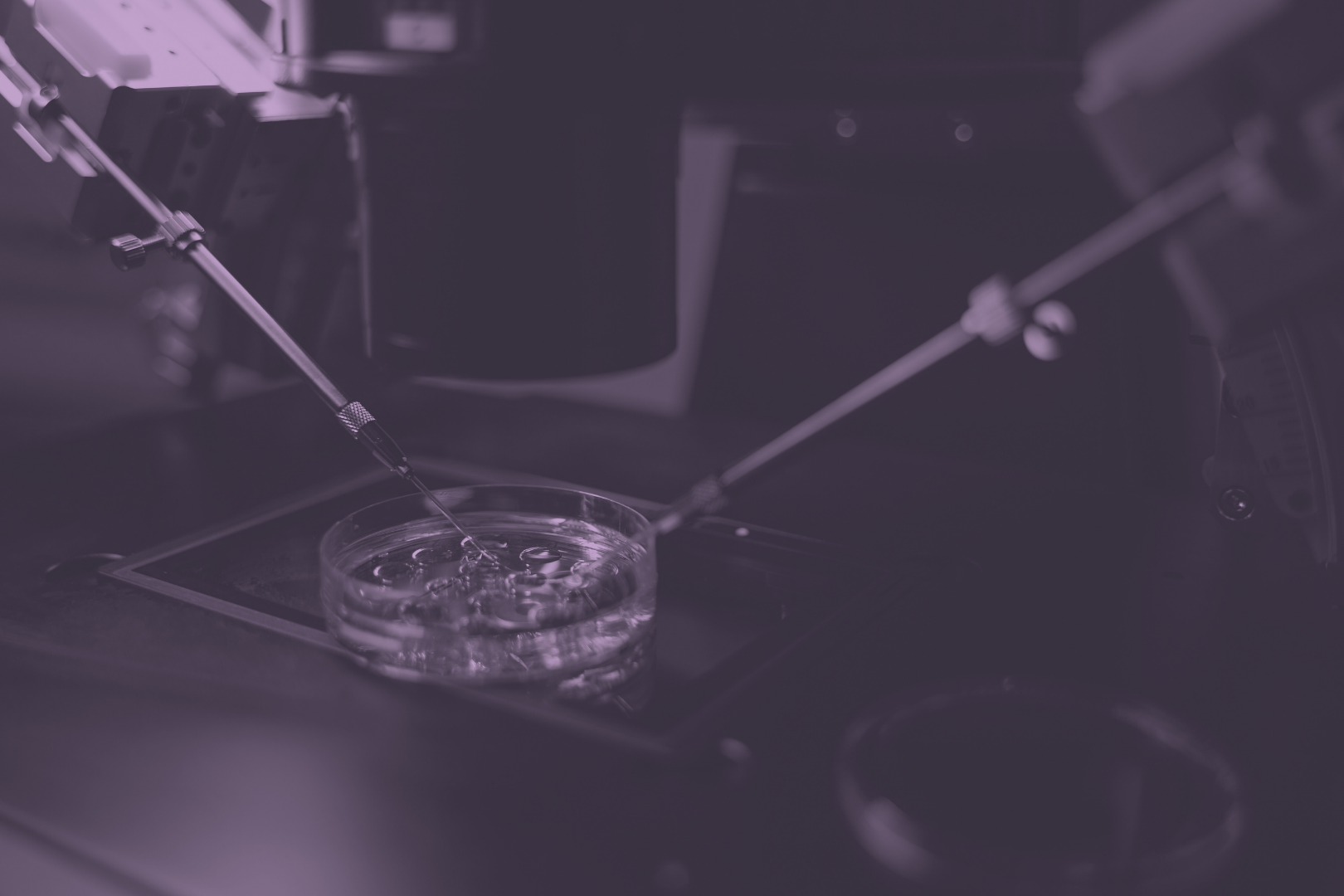 Embryology | Enhance Your IVF Success — Ovation Fertility