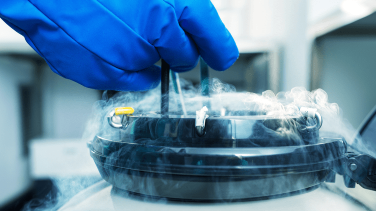 Fertility Cryostorage Solutions | Secure Your Future — Ovation Fertility