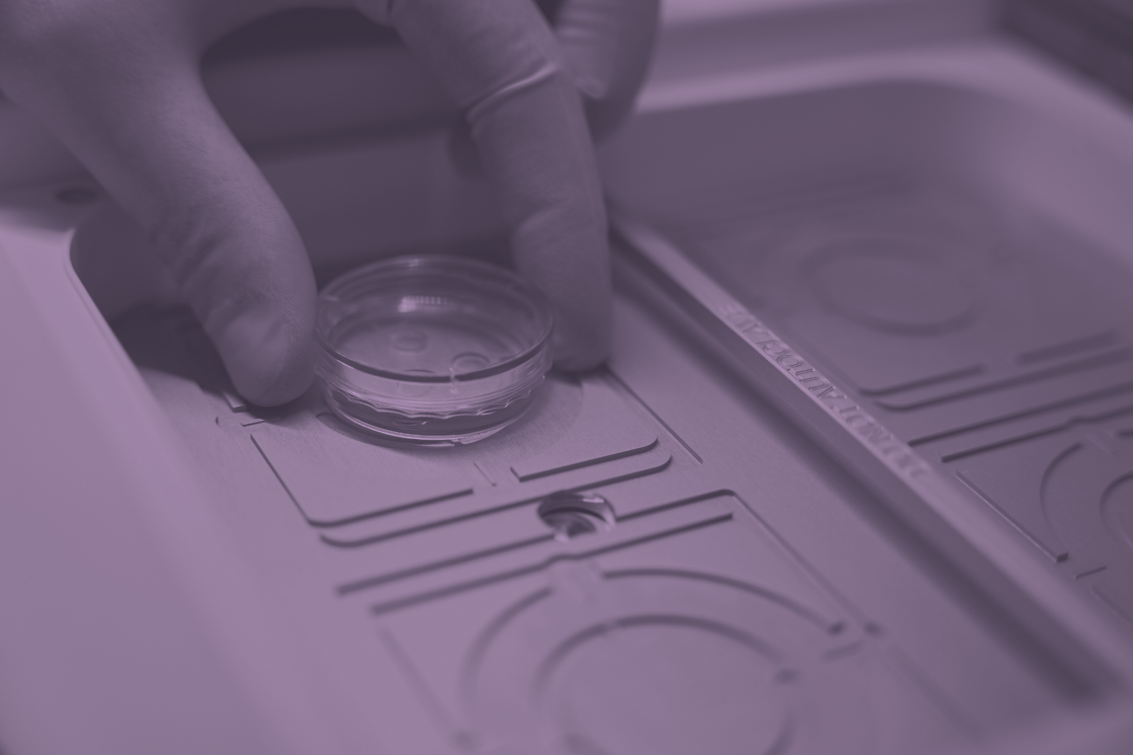 Embryology | Enhance Your IVF Success — Ovation Fertility