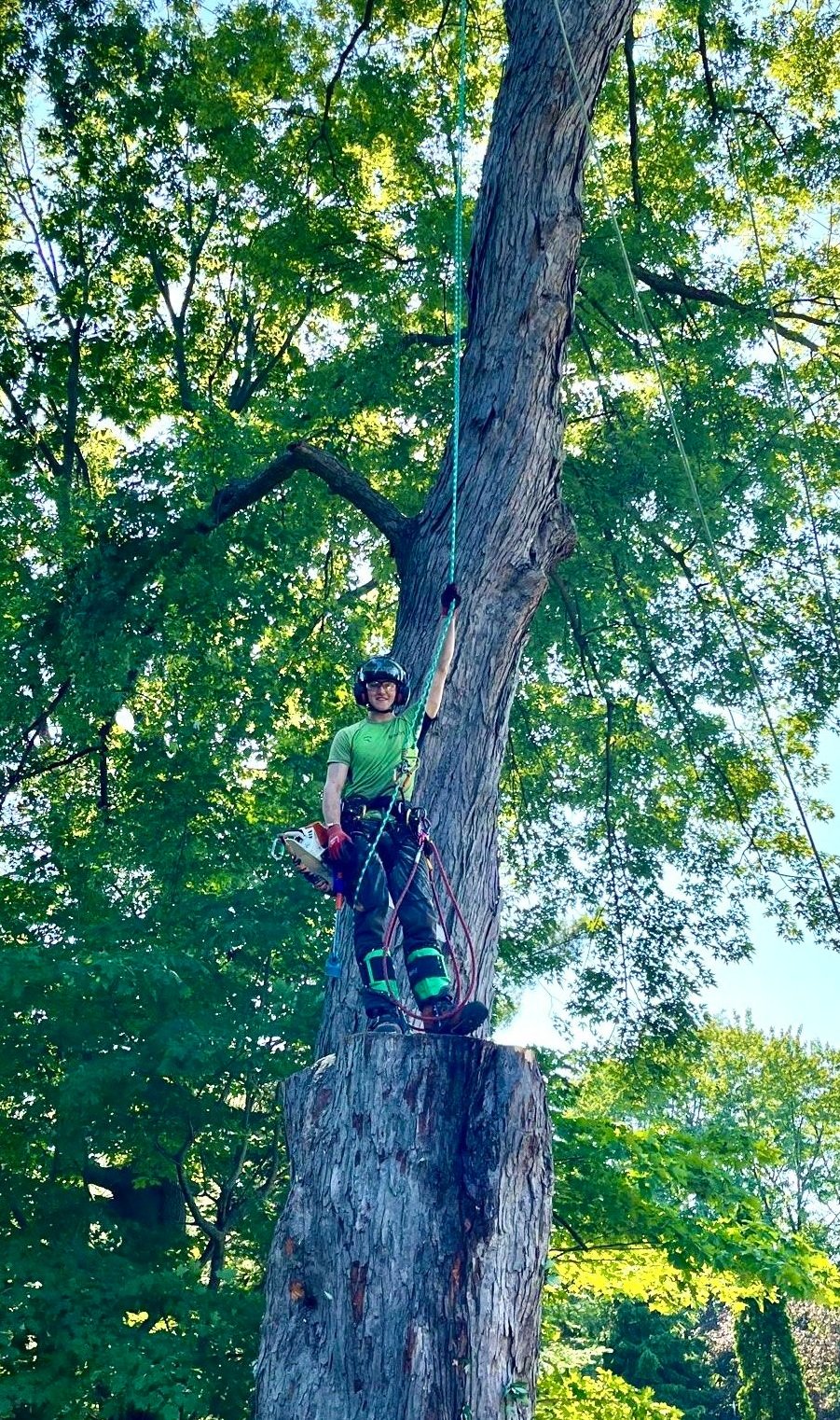 Big Green Tree Care