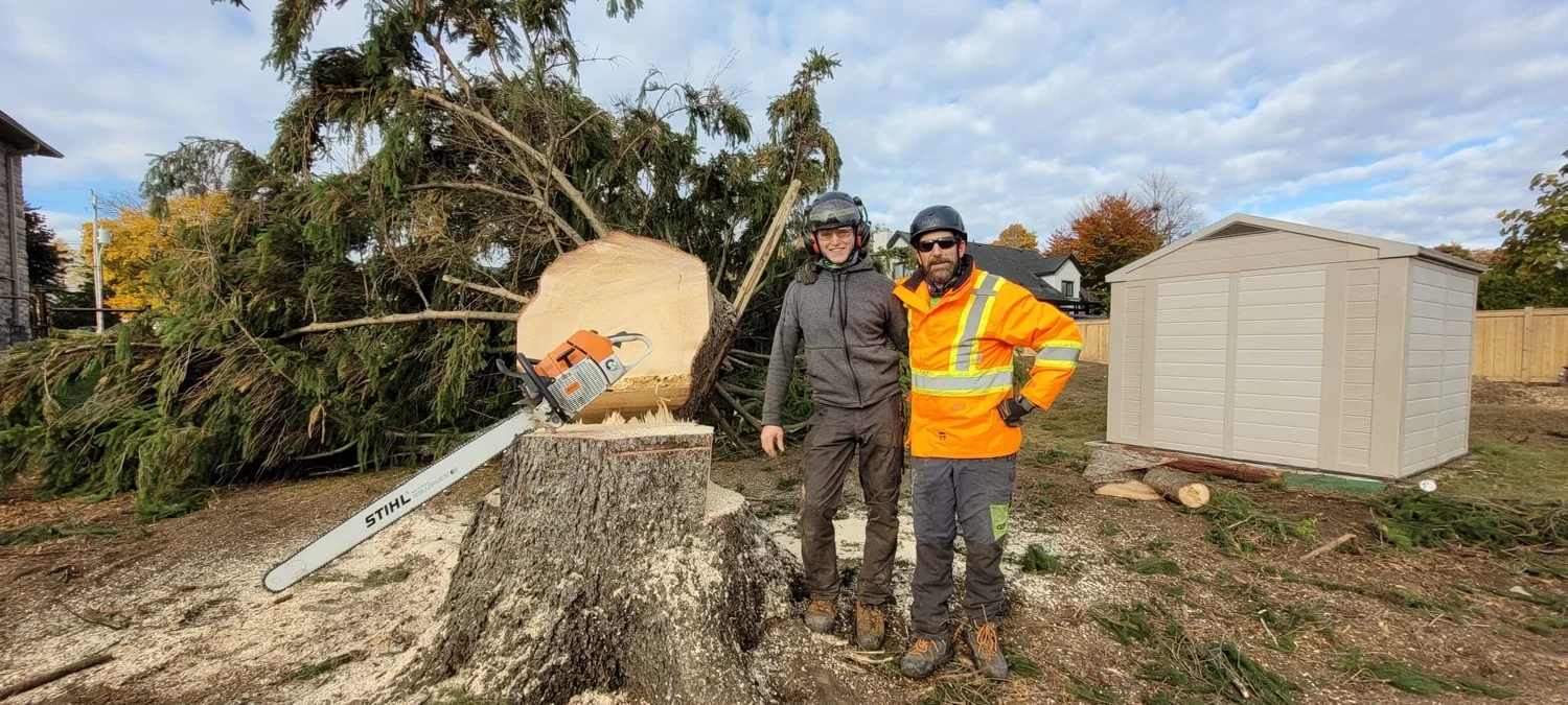 Big Green Tree Care
