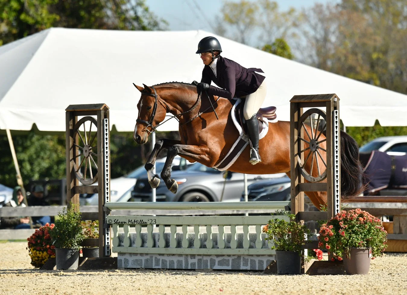 Training Staff at Clairvaux Riding Academy | Clairvaux, LLC