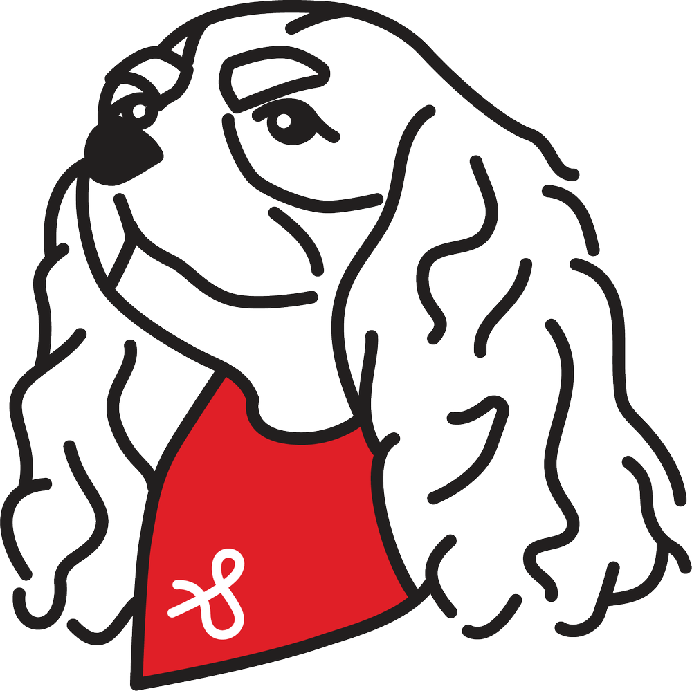 Samson Partners Group