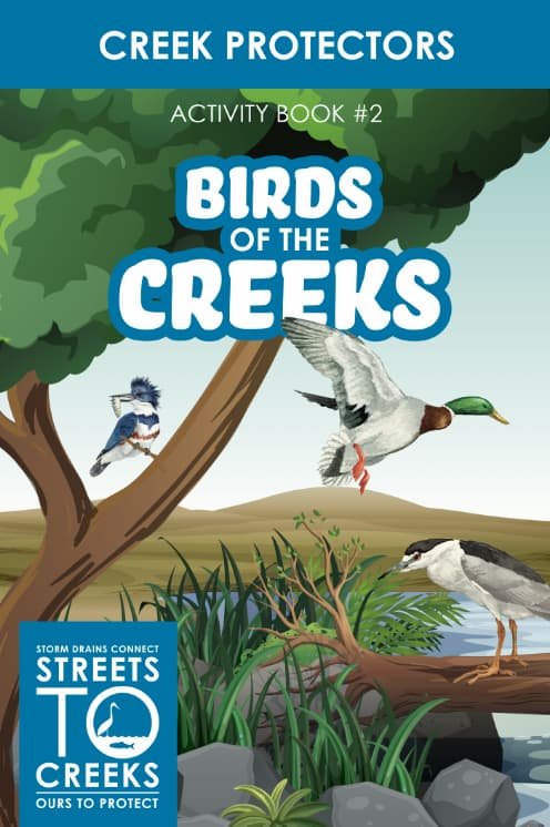 Creek Protectors — Streets to Creeks