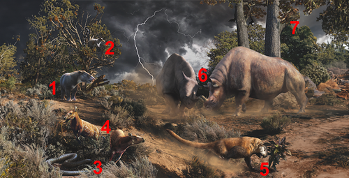 Volcanic Highlands Environment — Big Bend Fossil Discovery