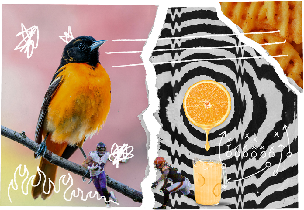 The Perch