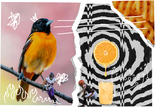 The Perch