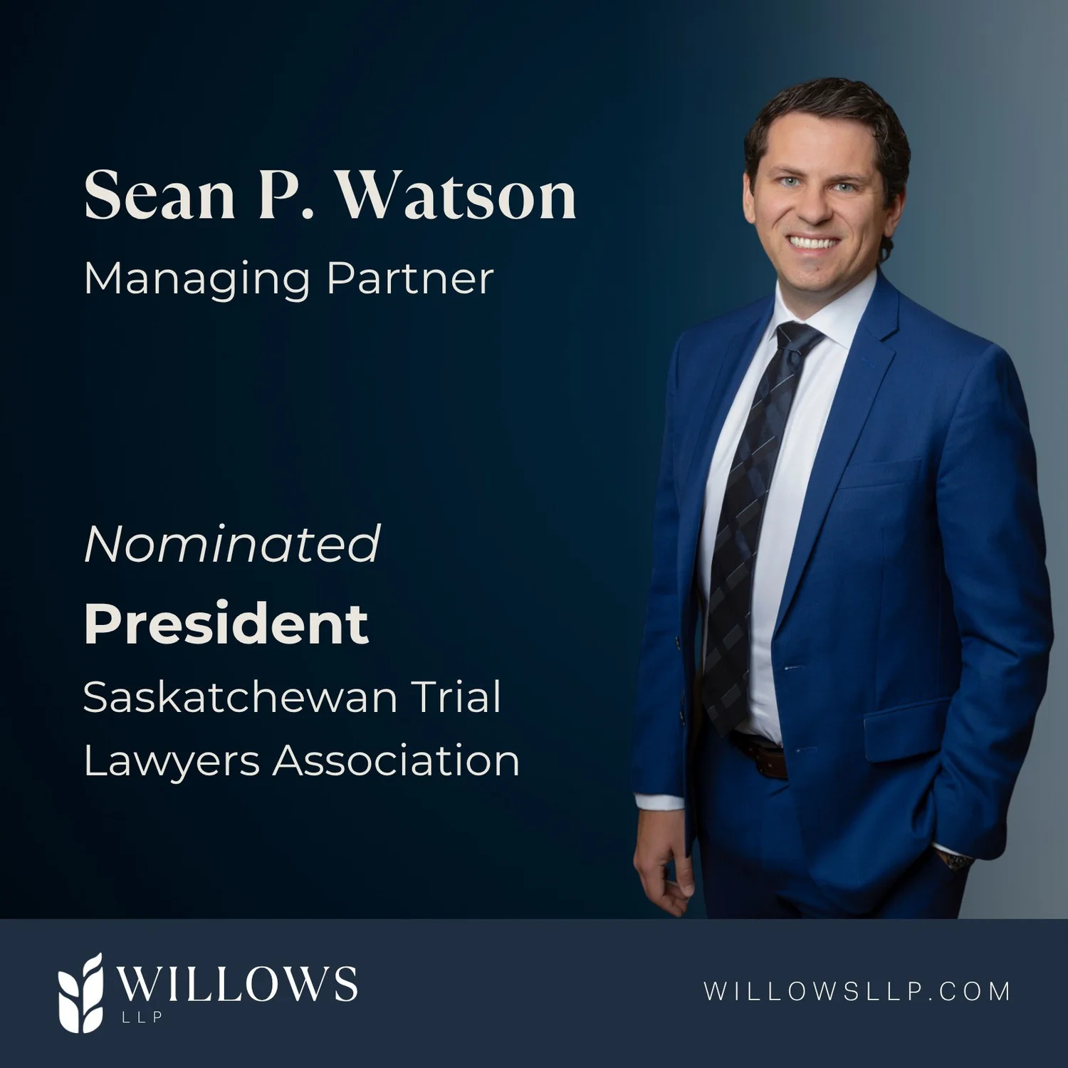Willows LLP - Saskatchewan Lawyer | Regina Law Firm