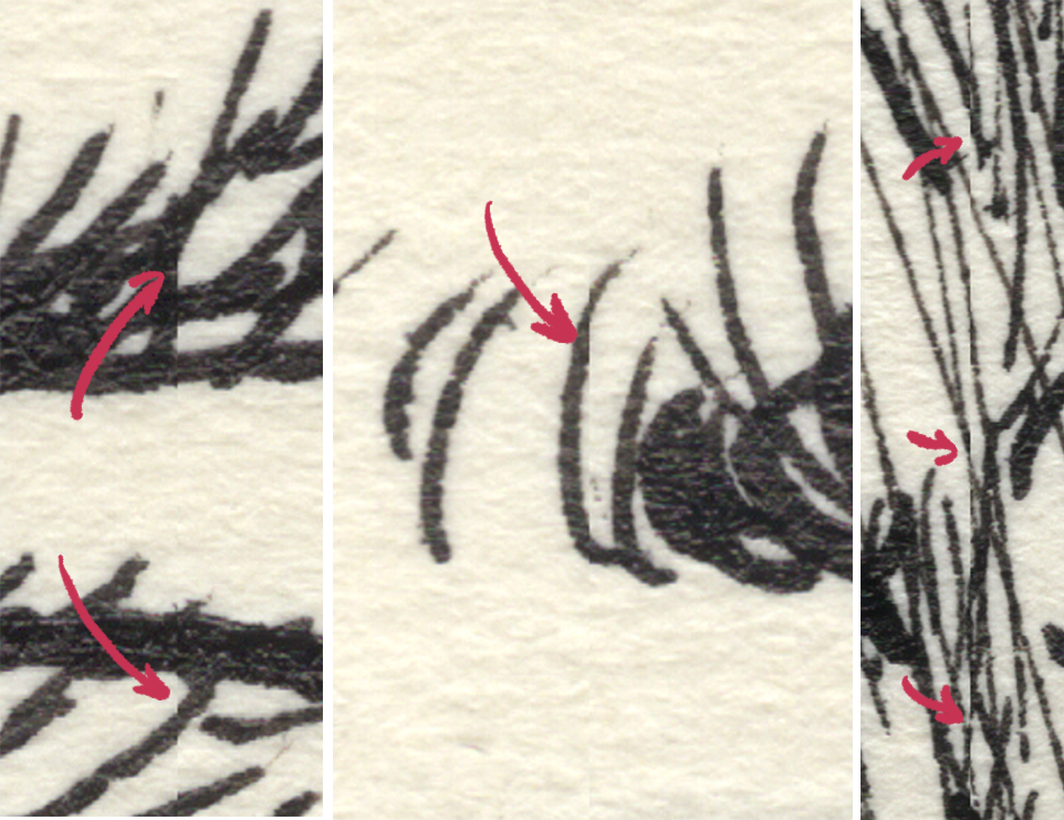 Scanners for Artists: A Complete Guide to Digitizing Artwork and ...