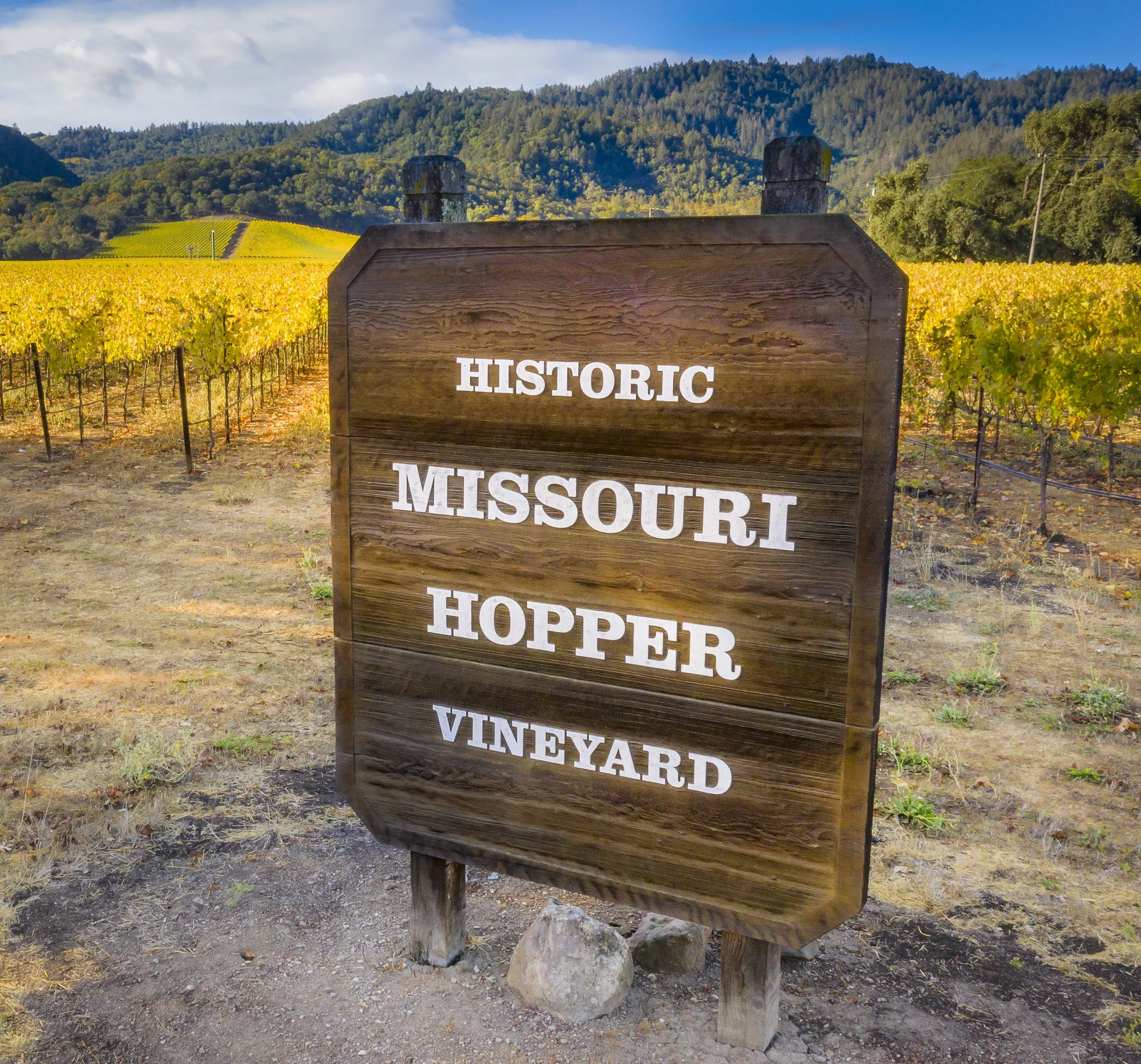 Missouri Hopper — Copper Bear Wines