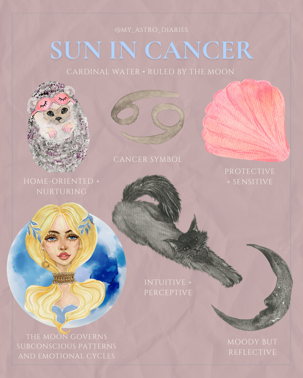 Understanding the Sun in Astrology — My Astro Diaries Locational Astrology