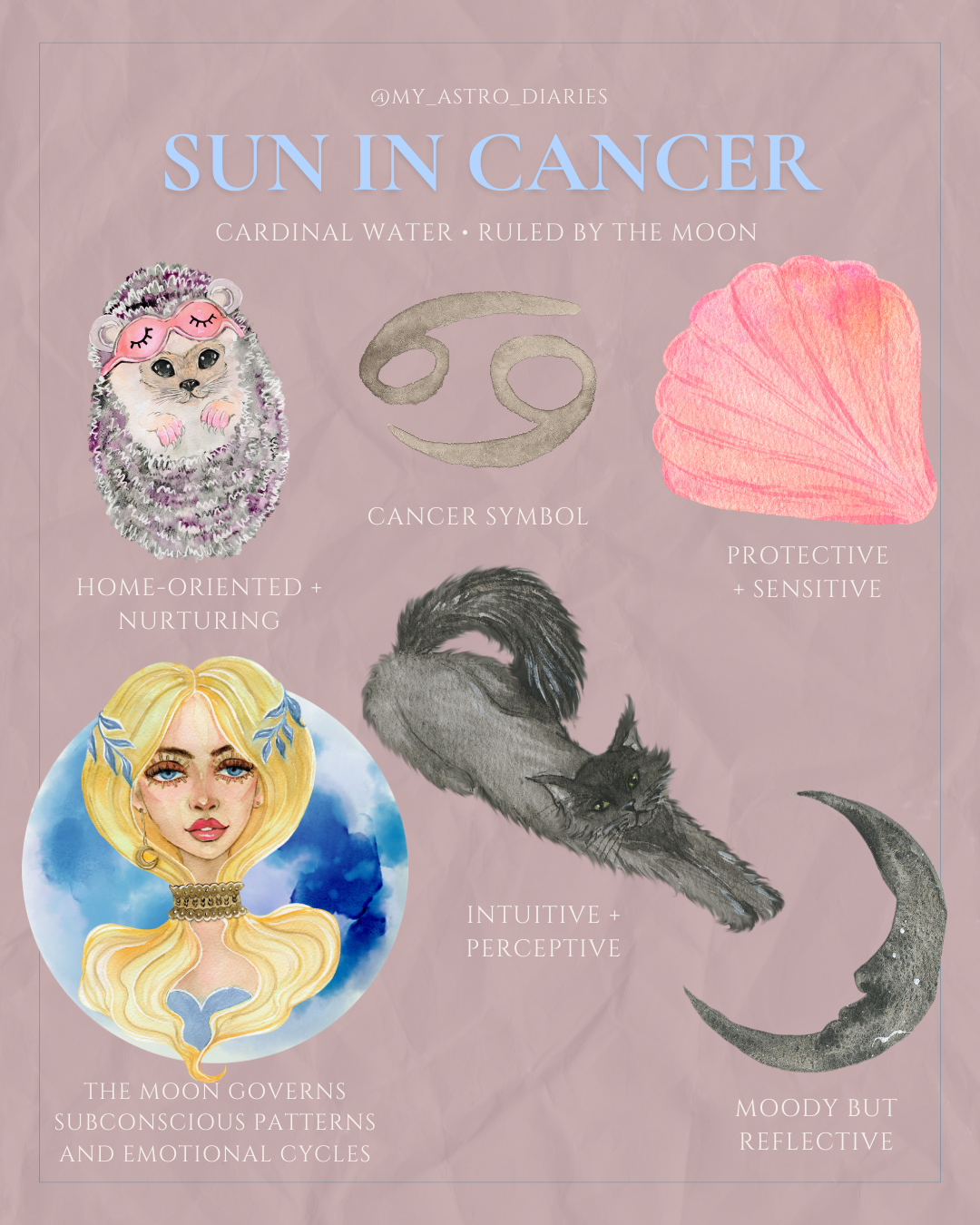 Understanding the Sun in Astrology — My Astro Diaries Locational Astrology