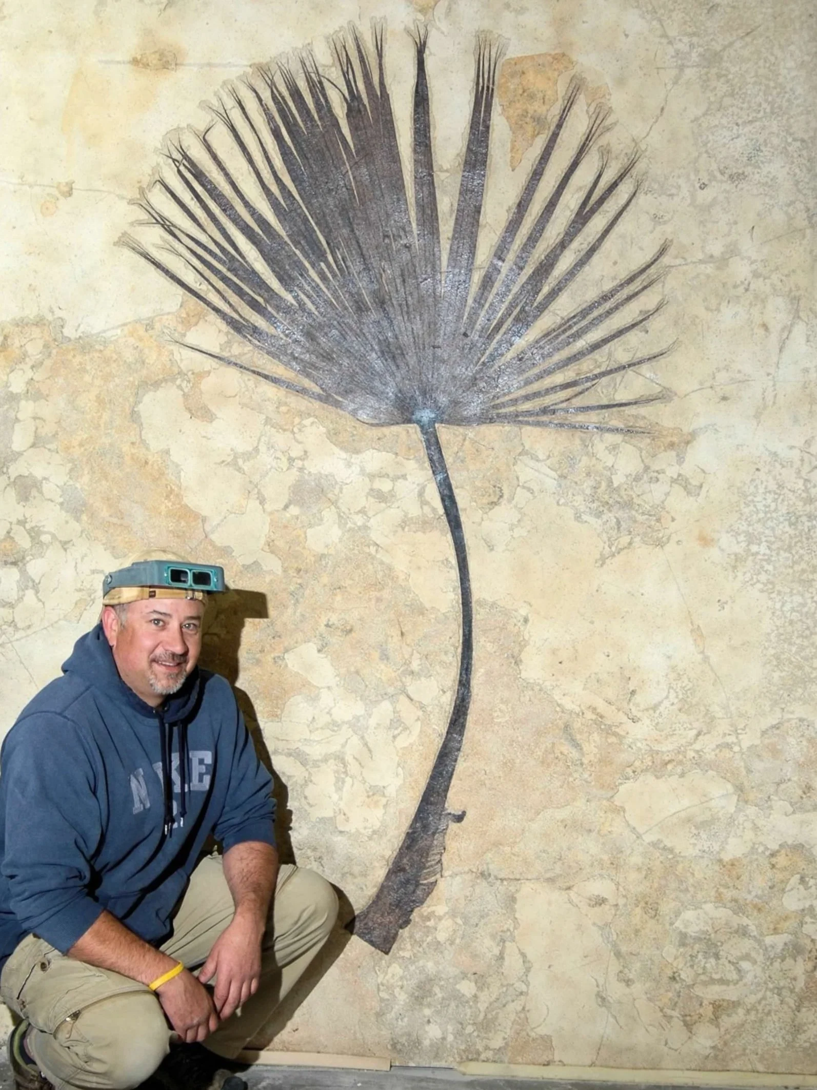 About Us — Ulrich's Fossil Gallery