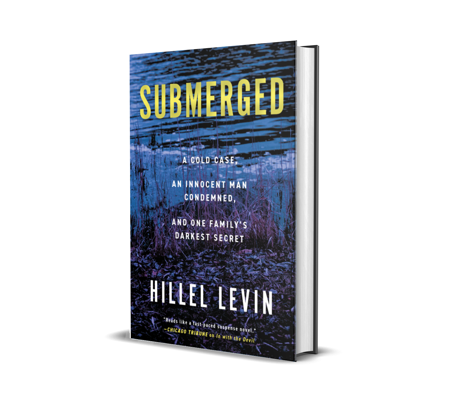 Submerged-Solving the Rayna Rison Cold Case (October 2024)