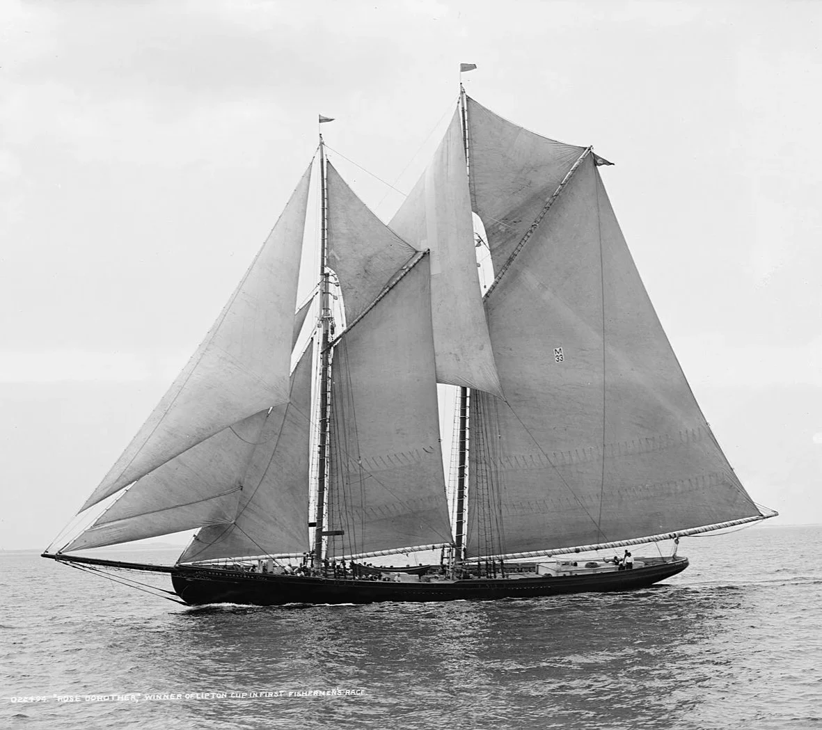 Rose Dorothea Schooner Provincetown | History & Library Exhibit Guide ...