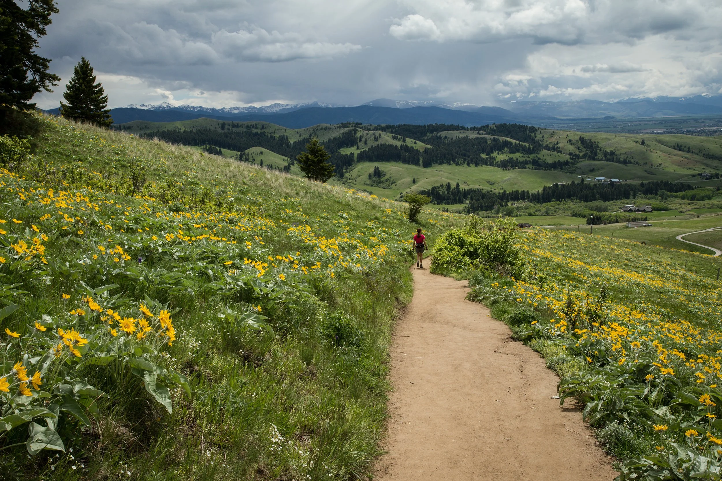 College M Trail | Bozeman Trails — Gallatin Valley Land Trust
