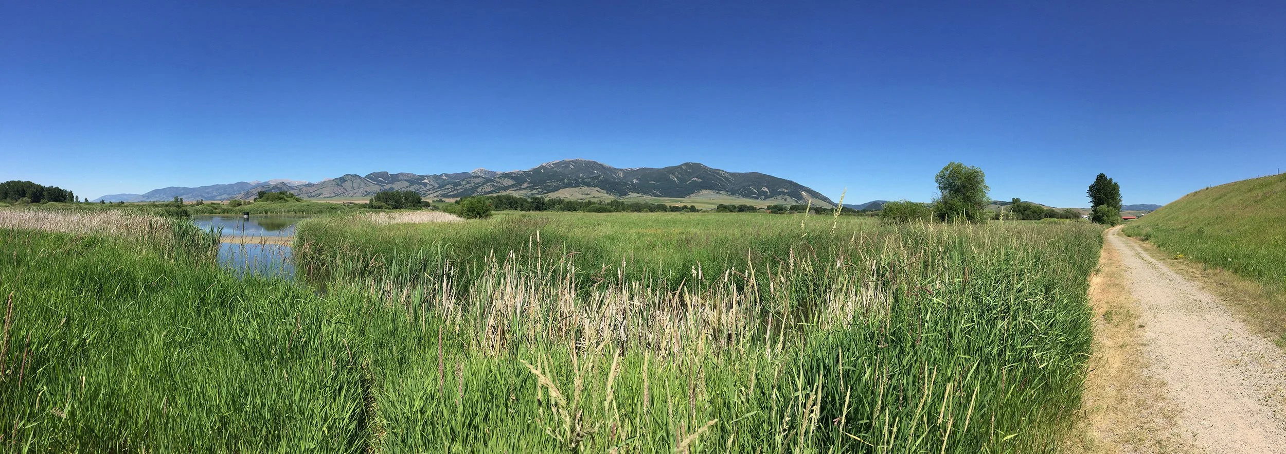 Cherry River | Bozeman Trails — Gallatin Valley Land Trust