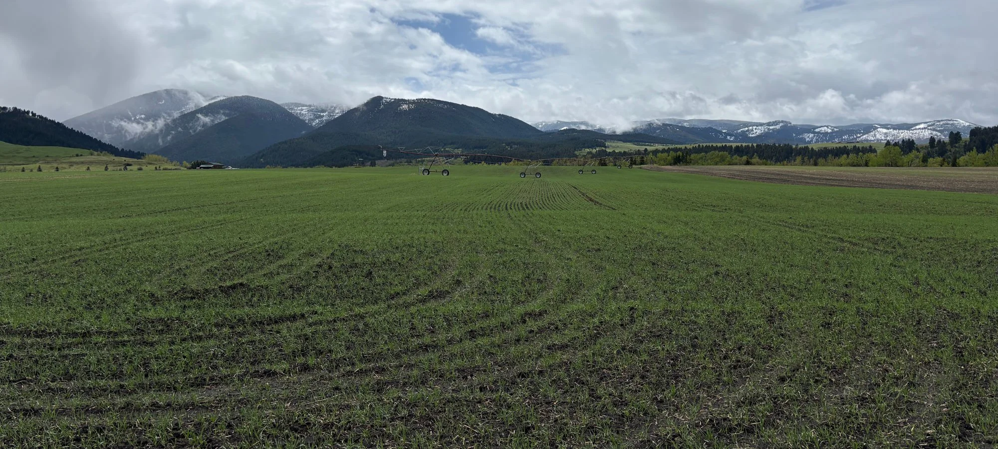 190 Acres of Vital Agricultural Land Permanently Protected Near South ...