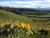 College M Trail | Bozeman Trails — Gallatin Valley Land Trust