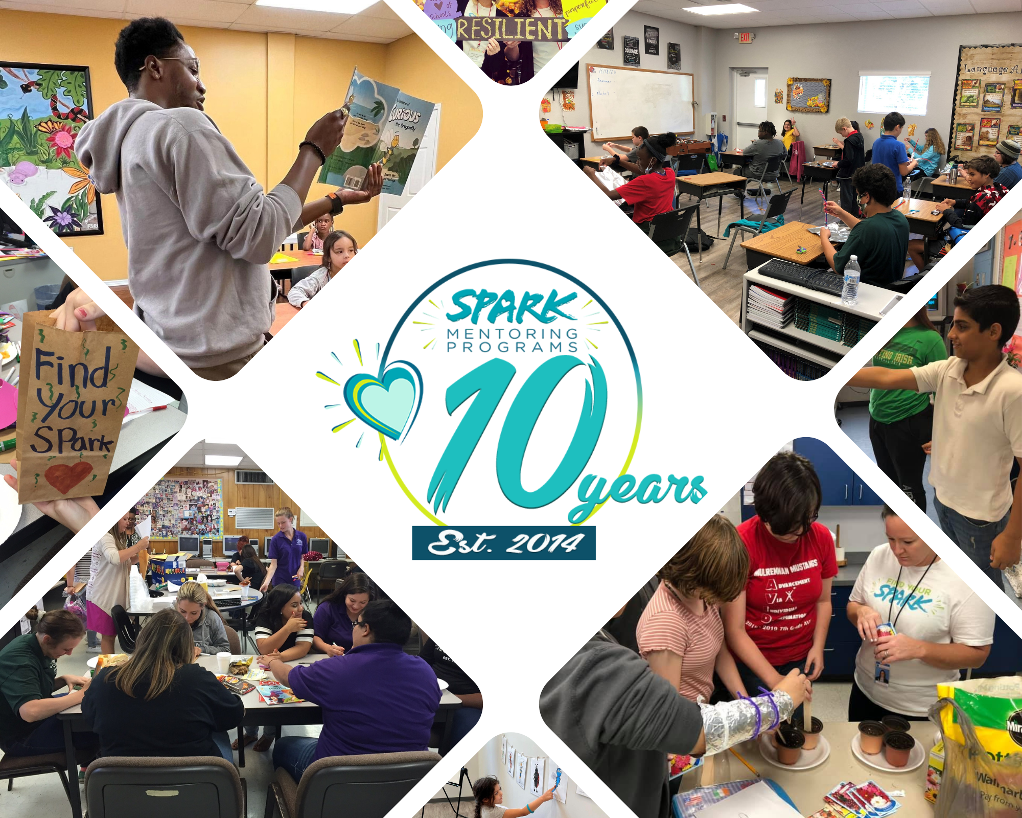 The SPARK Initiative