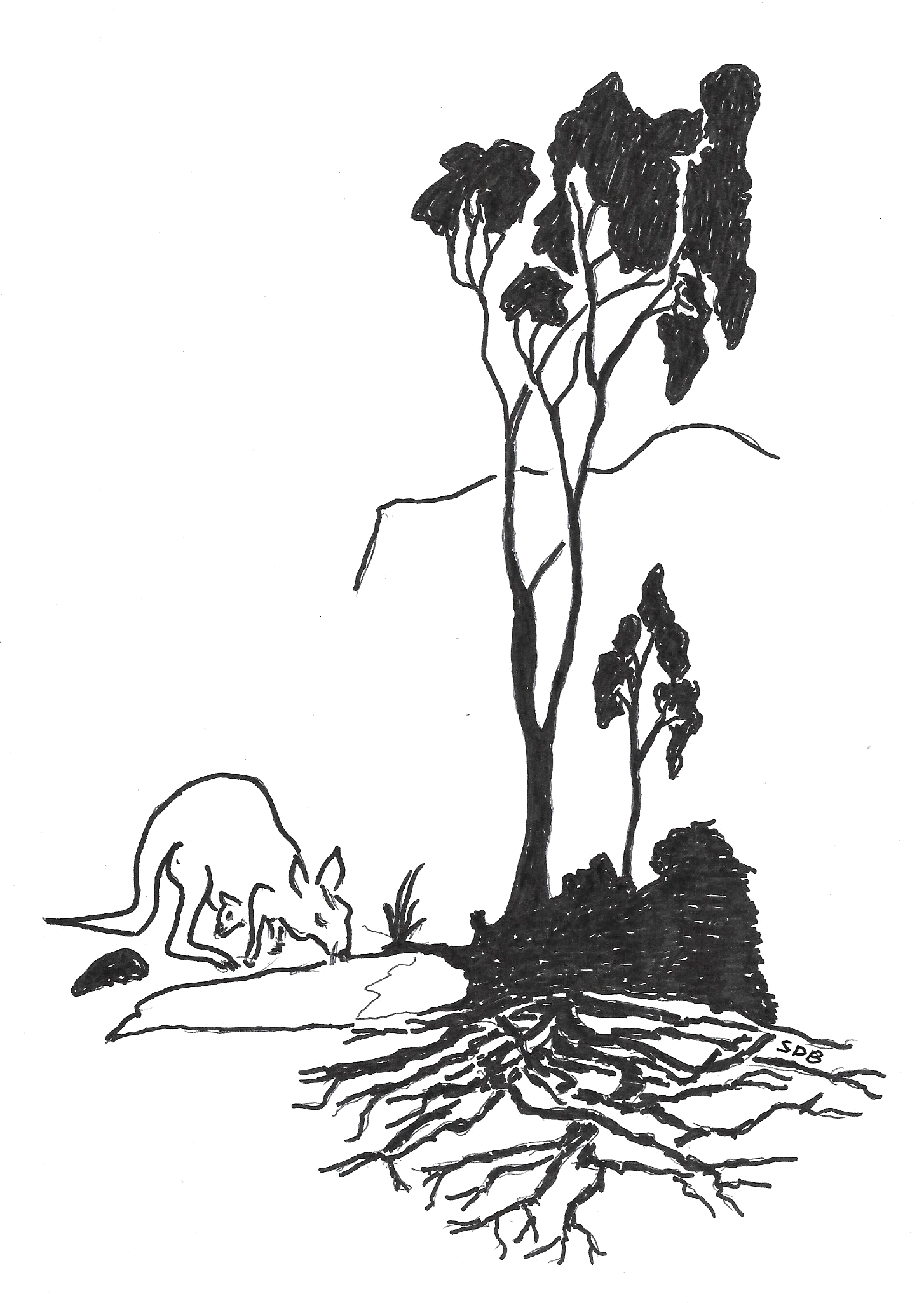 Year-Round Noongar Seasons Display — Learning on Country