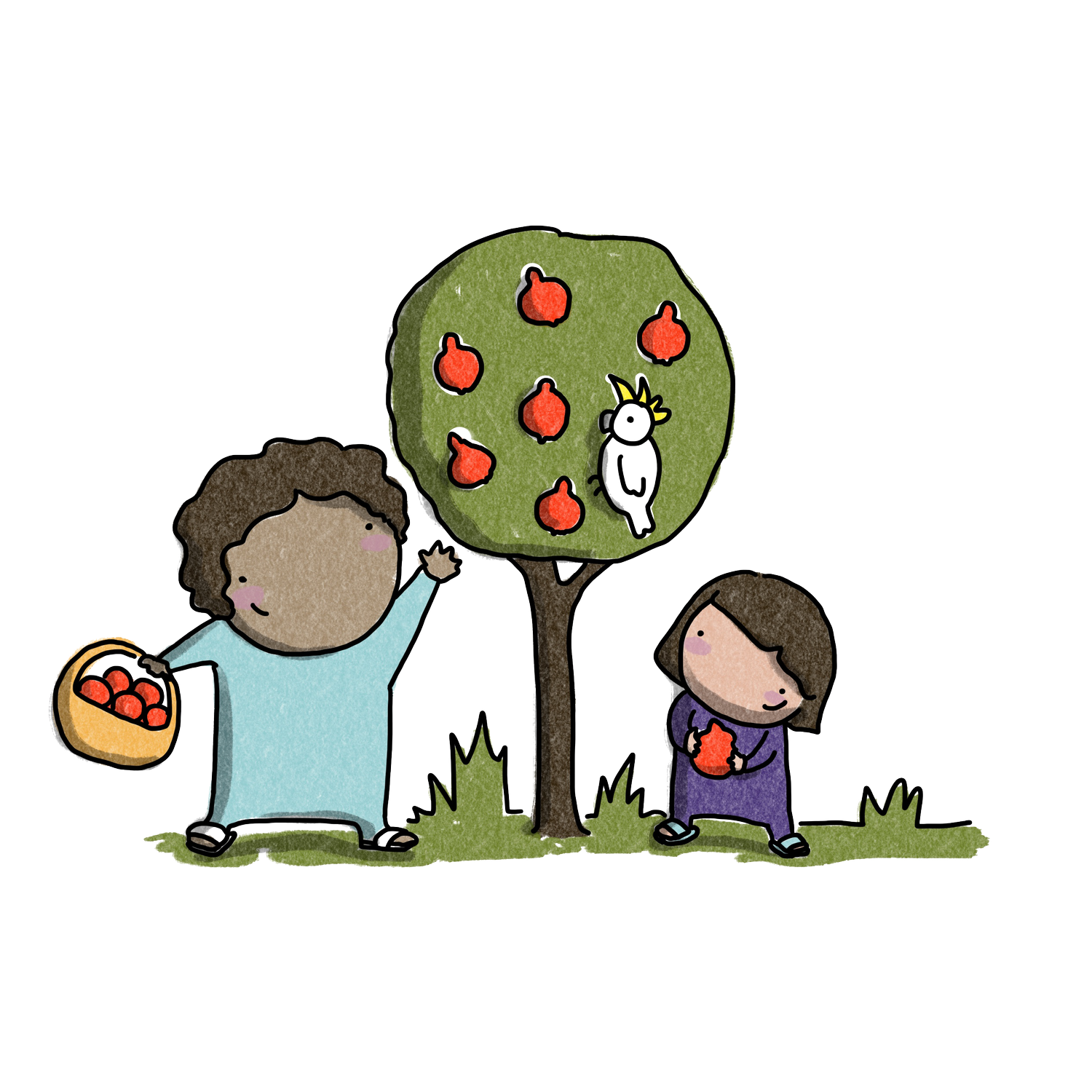 Learning Pathways — Learning on Country