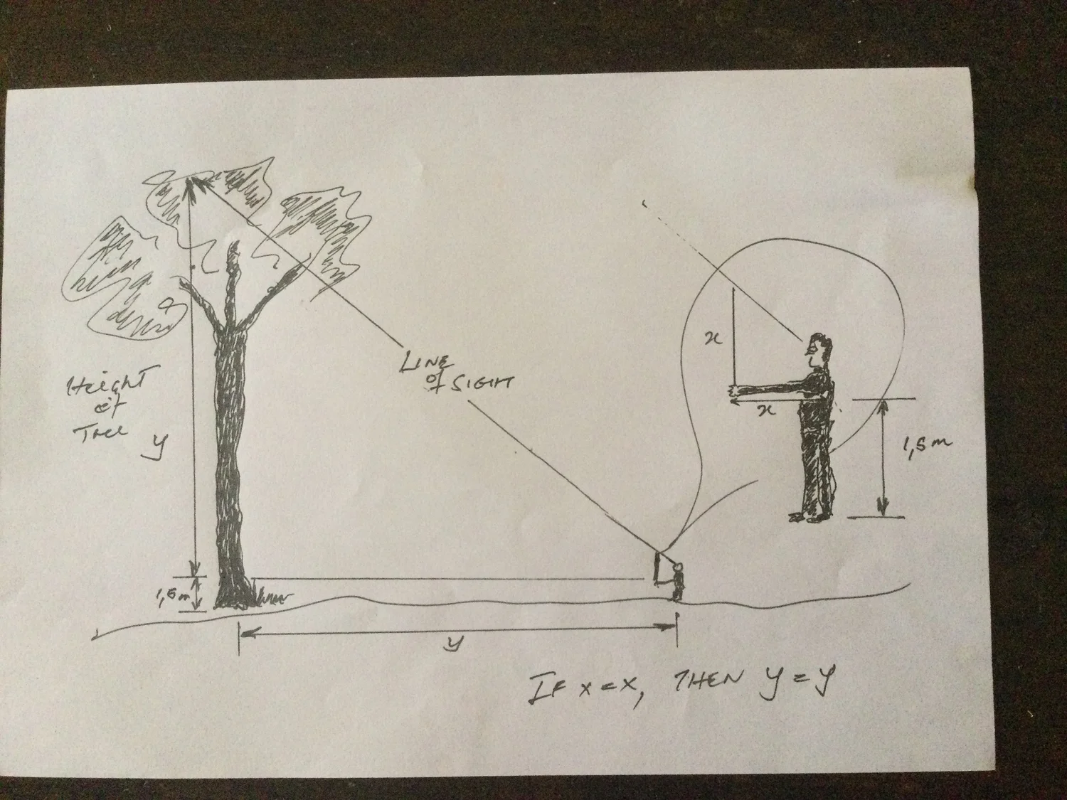 Yr 5-6 M2 Measure The Height of a Tree — Learning on Country