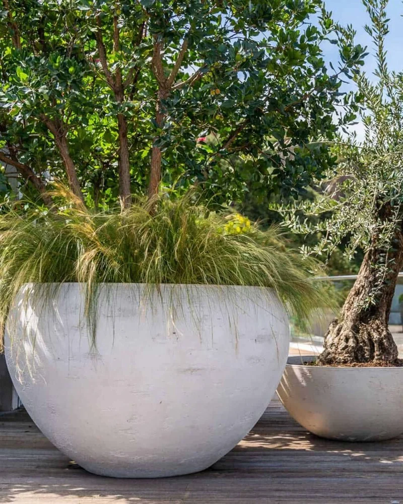 Medea — Parr & Woolford