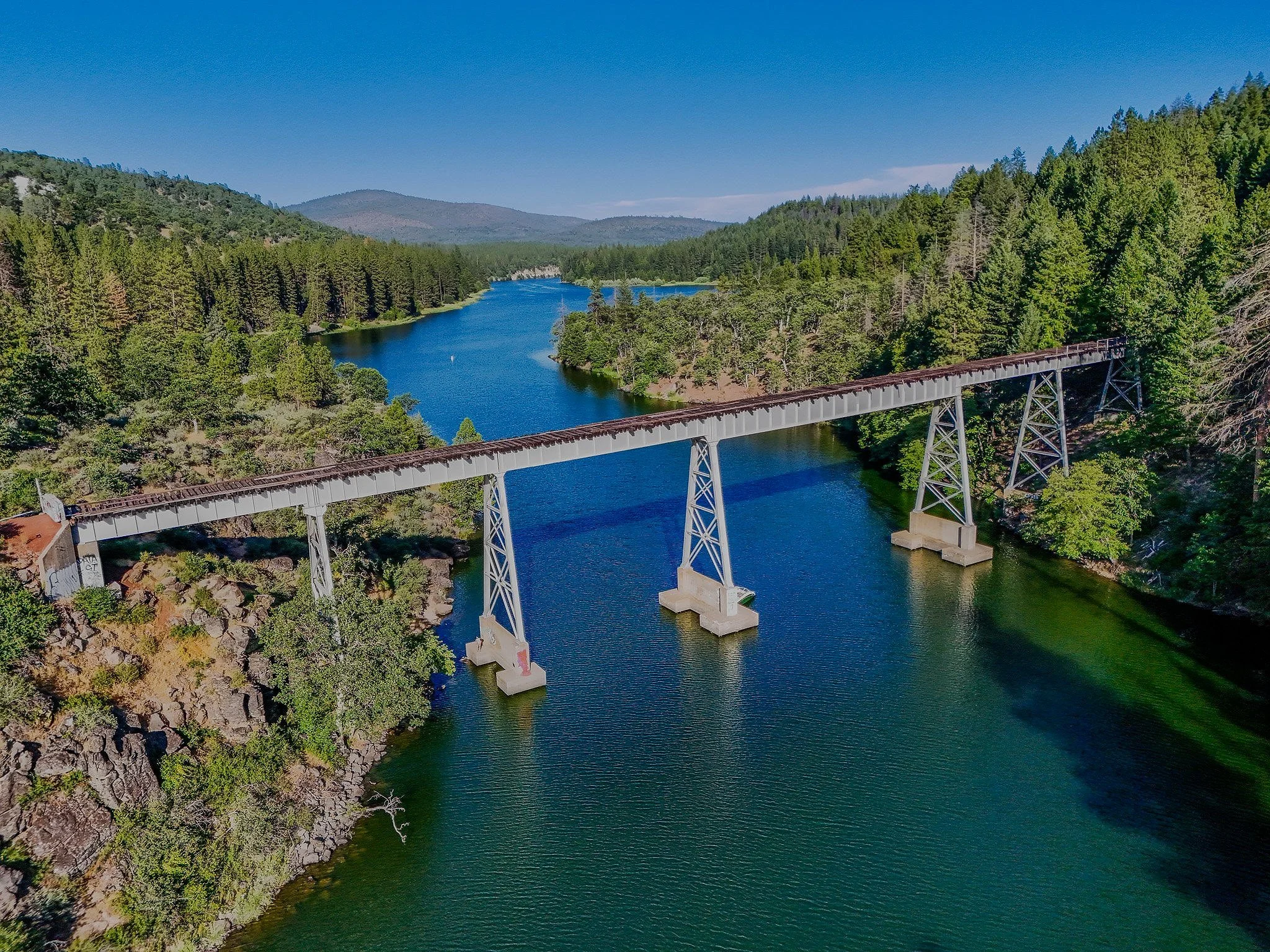 Insley's Drone Service