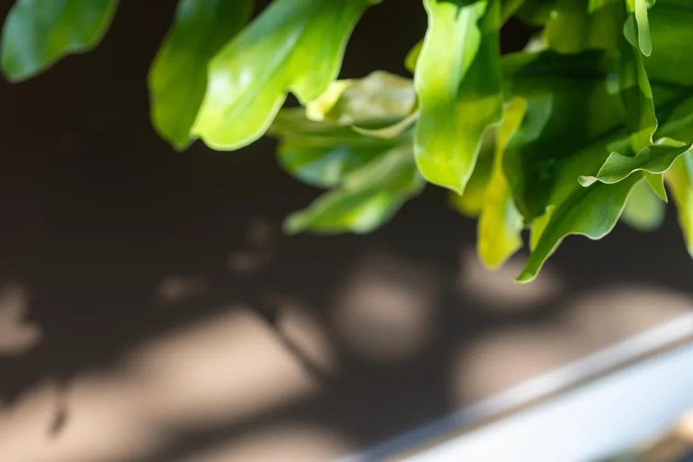 NEW CLIENTS — CORE BURN PILATES