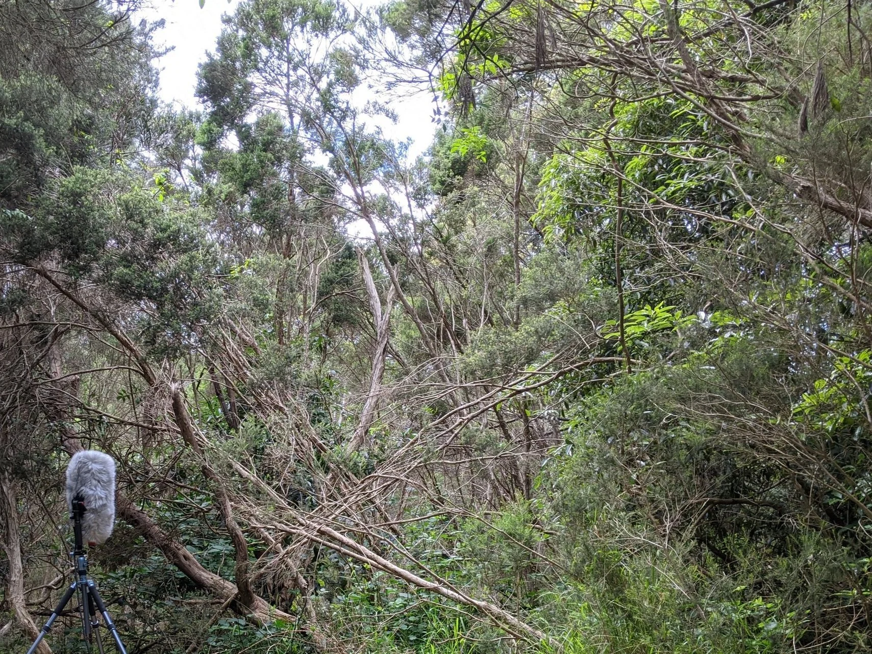 Liquid Architecture: Unheard relations — SIMON LAWRIE