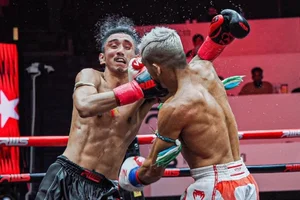 THE NERVOUS SYSTEM, FASCIA, AND HUMAN PERFORMANCE | Fight by Design ...