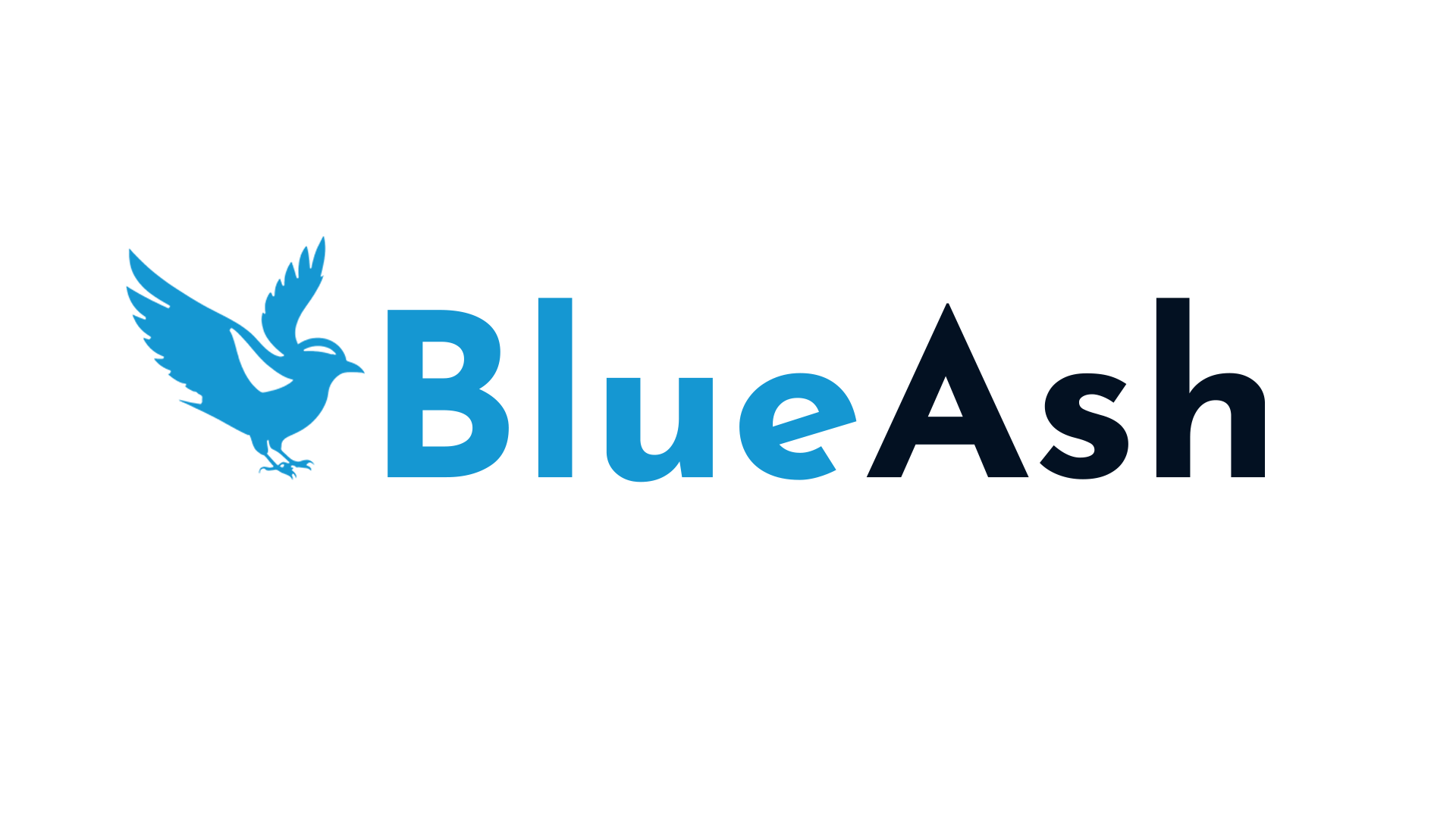 Careers — BlueAsh ABA