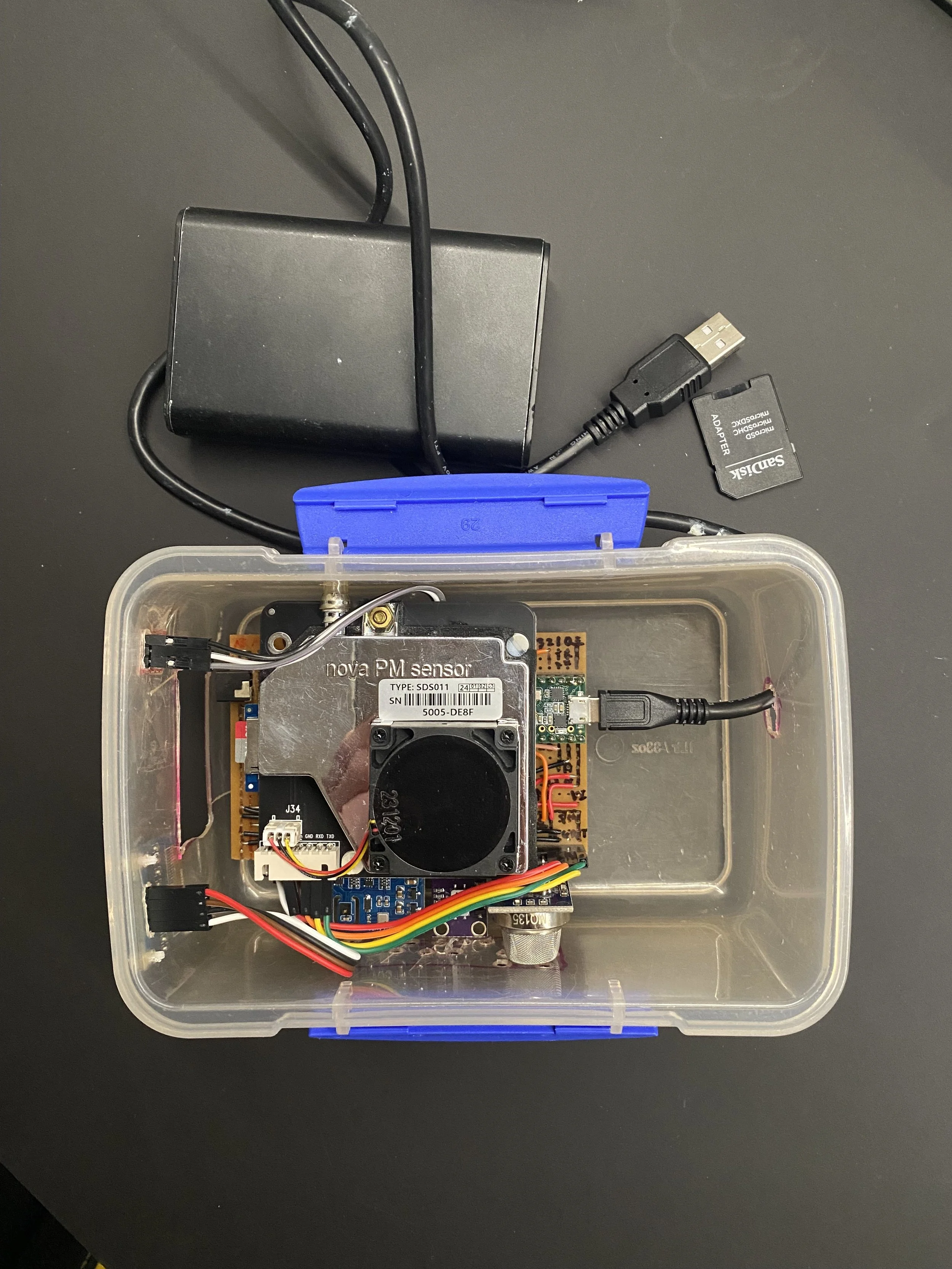 Ellie Cole | Olympian | Australian Diver